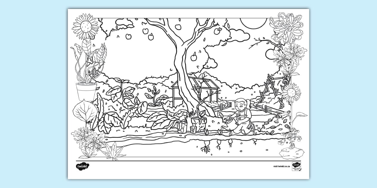 Plants Doodle Colouring Page (teacher made) - Twinkl