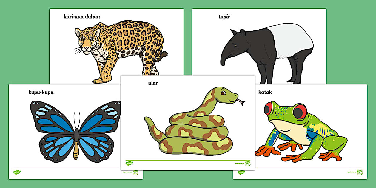 Aktiviti Menggunting Kertas - Tema Hutan (teacher made)