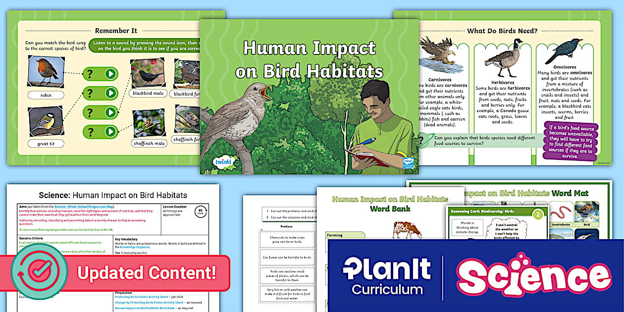 Y3 Biodiversity Birds Human Impact on Bird Habitats Lesson 2