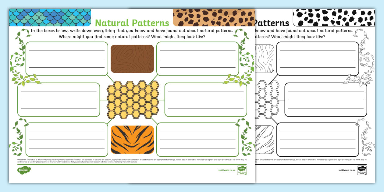 Natural Patterns Mind Map (teacher made) - Twinkl
