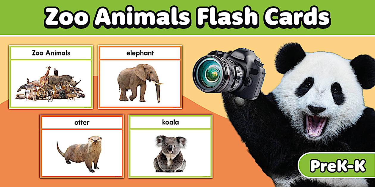 Zoo Animals Photo Flash Cards