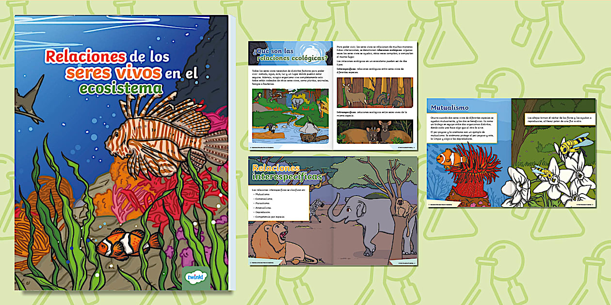 Ebook Relaciones Ecosistema para Niños - Twinkl Colombia