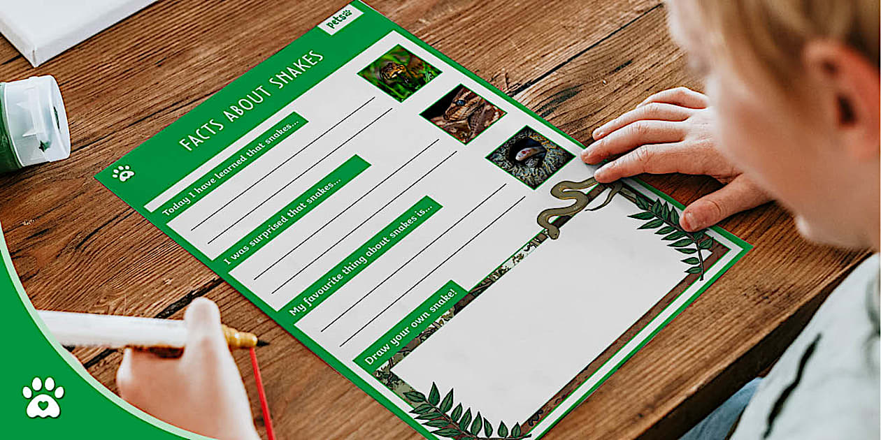 Facts about Snakes - Activity Sheet - Snake Facts - Pets