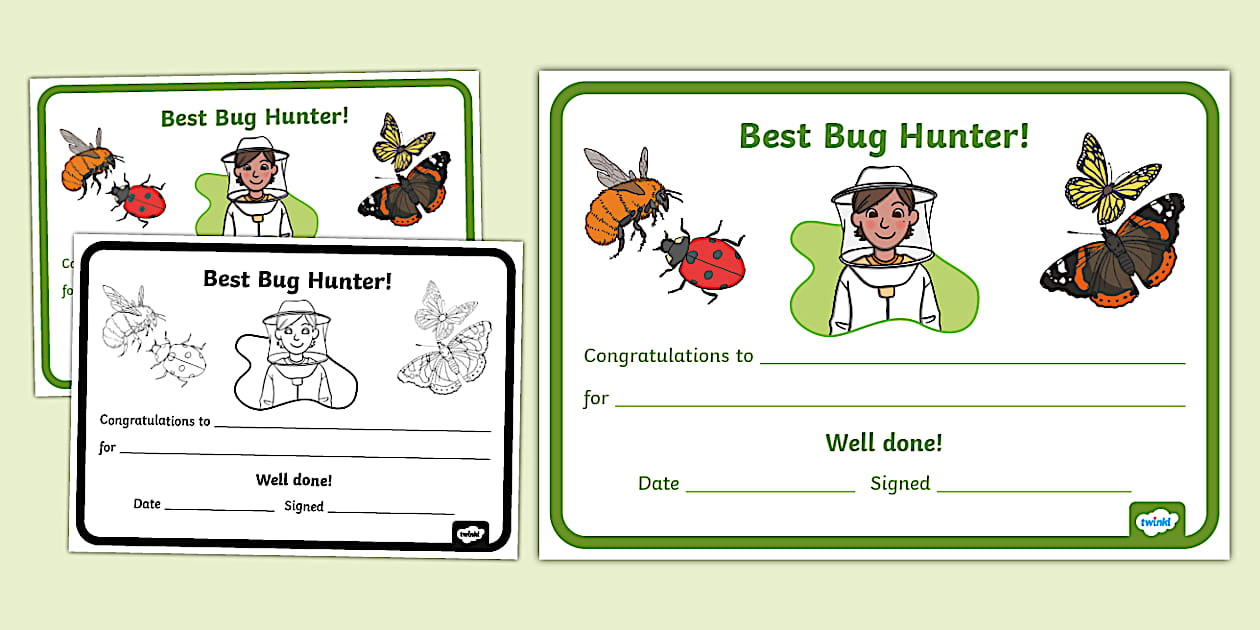 Bug Hunter Certificate (teacher made) - Twinkl