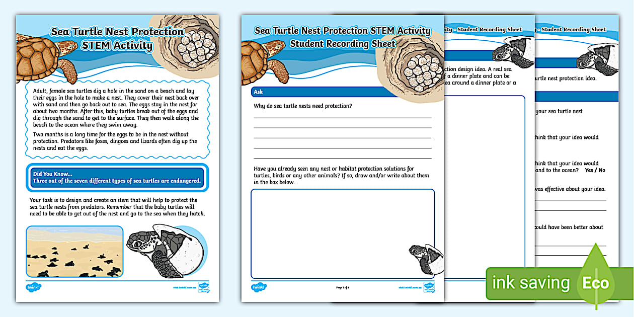 Sea Turtle Nest Protection STEM Activity (teacher made)