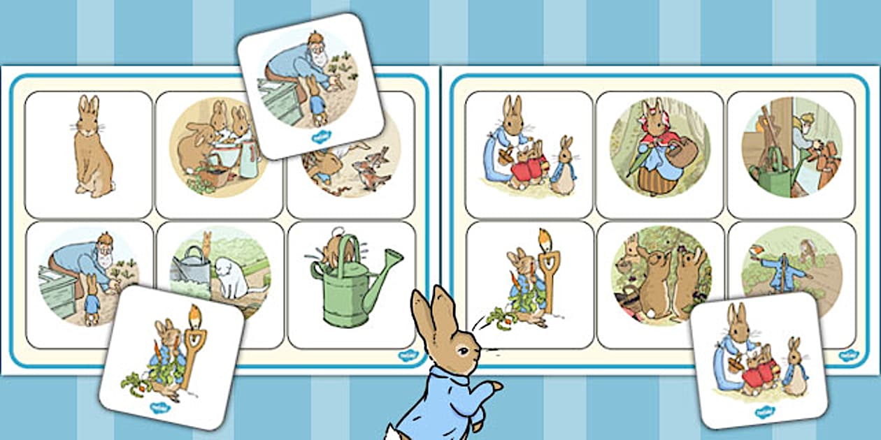 The Tale of Peter Rabbit Matching Mat (teacher made)