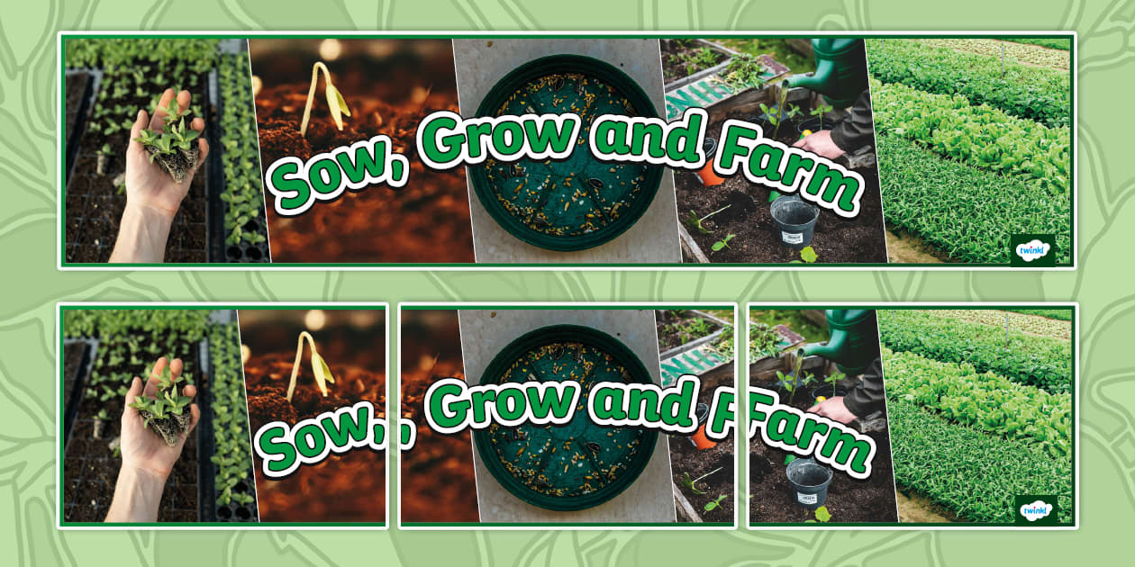 KS2 Sow, Grow and Farm Photo Display Banner - Twinkl