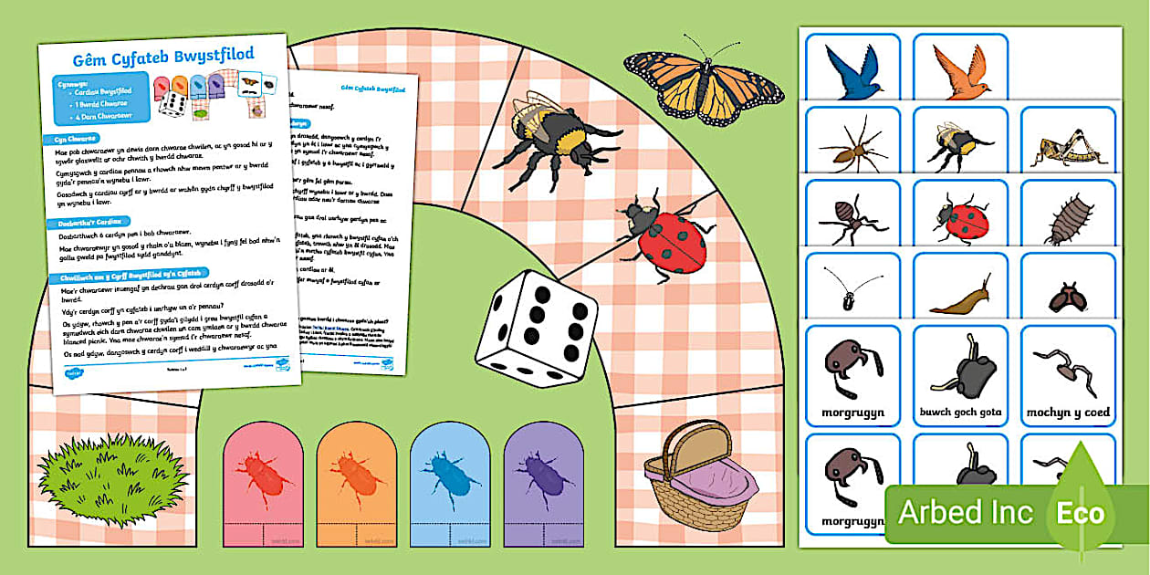Gêm Cyfateb Bwystfilod yr Haf (l'enseignant a fait)