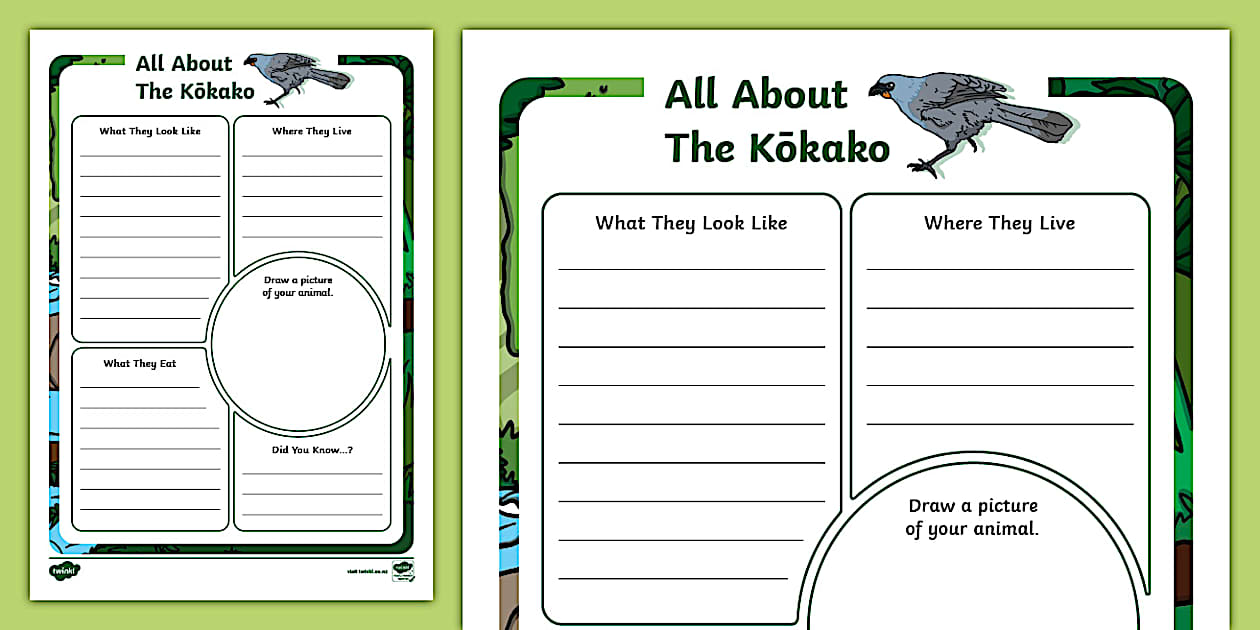 Year 3-4 Native Bird Report Writing - Kōkako (teacher made)