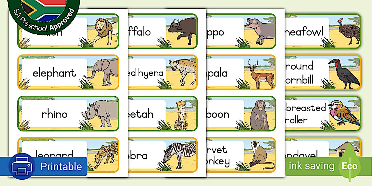 Preschool: Going on Safari - Word Cards