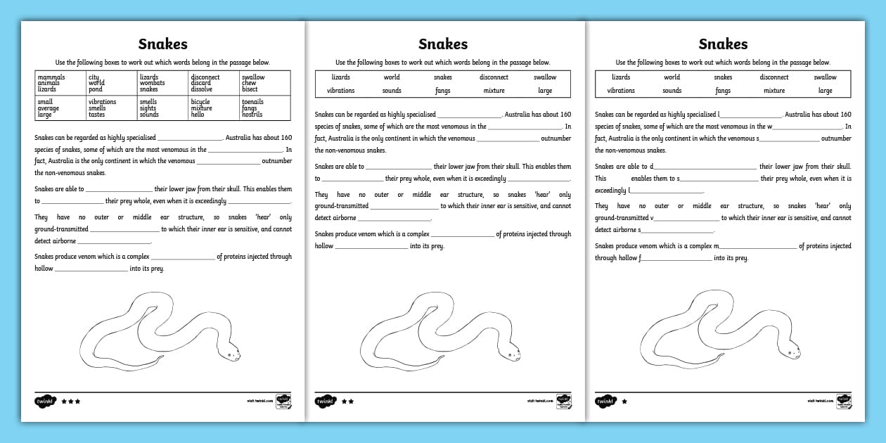 Australian Animals Years 3-6 Snakes Differentiated Worksheet / Worksheets