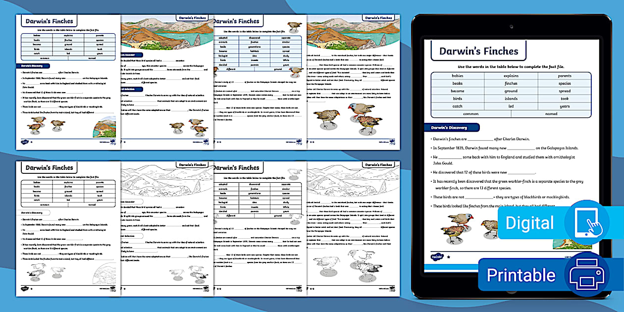 Eighth Grade Darwin's Finches Differentiated Cloze Reading