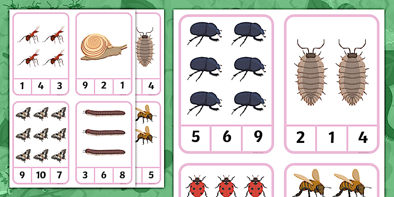👉 Minibeasts Peg Counting (teacher made) - Twinkl