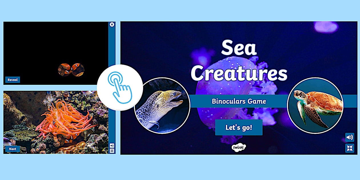 Sea Creatures Interactive Binoculars Game - Twinkl