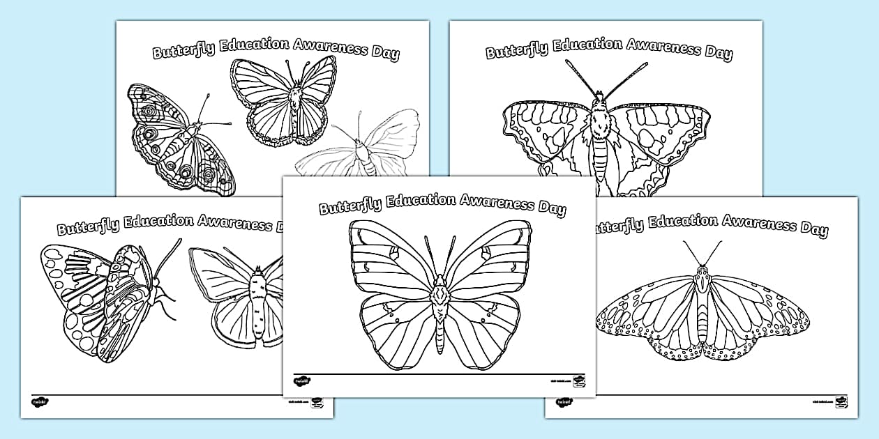 Butterfly Education Awareness Day Colouring Pages - Twinkl