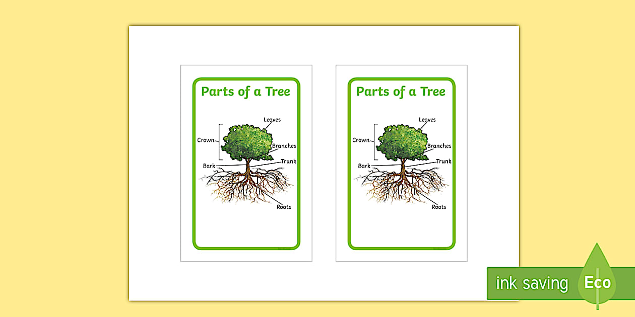 Parts of a Tree Prompt Frame (Hecho por educadores) - Twinkl