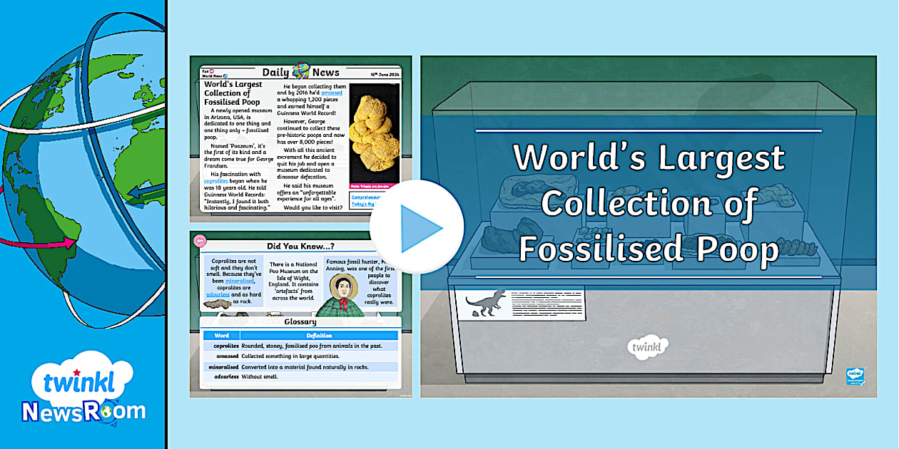 World’s Largest Collection of Fossilised Poop | Twinkl Resources