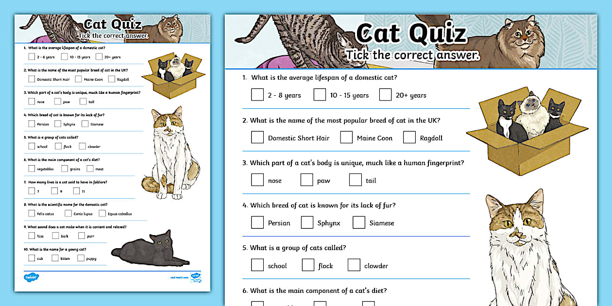 Cat General Knowledge Quiz (teacher made) - Twinkl