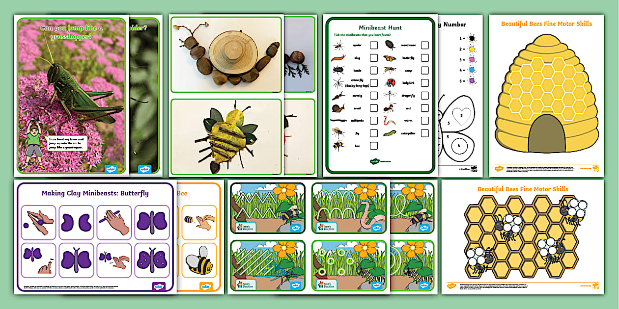 EYFS Minibeasts Resource Pack (Ages 3-5) | Twinkl - Twinkl