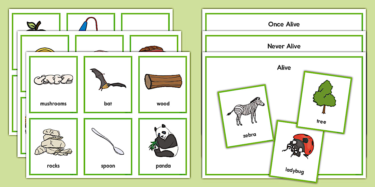 Alive, Once Alive, or Never Alive Sorting Cards Activity