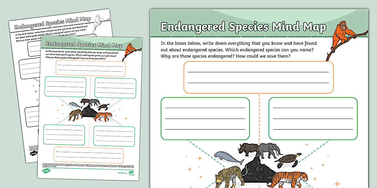 Endangered Species Mind Map (teacher made) - Twinkl