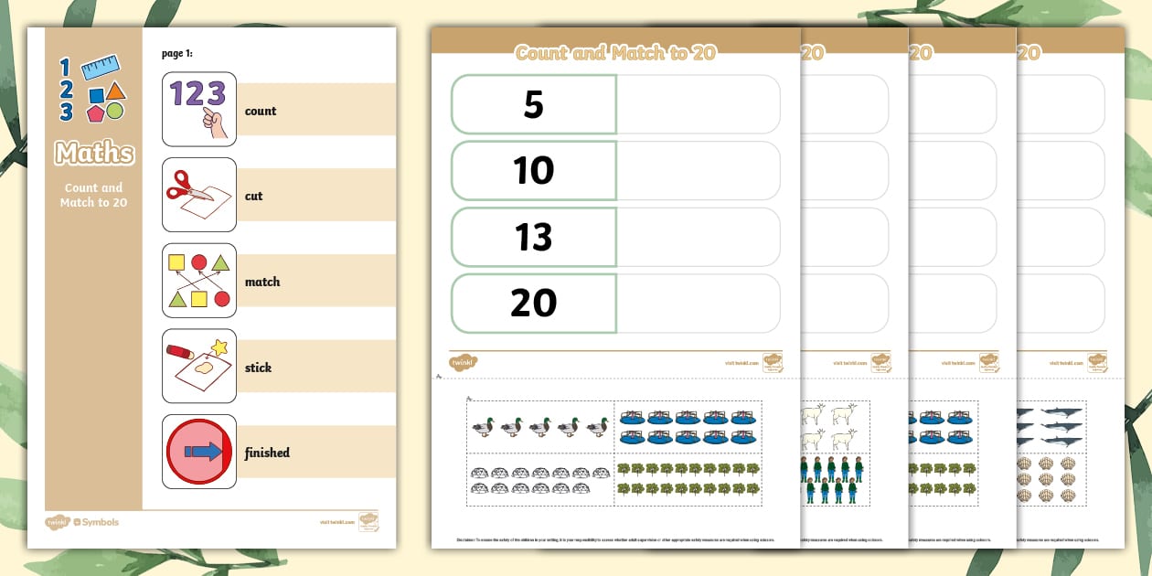 Structured Steps Count and Match to 20 (teacher made)