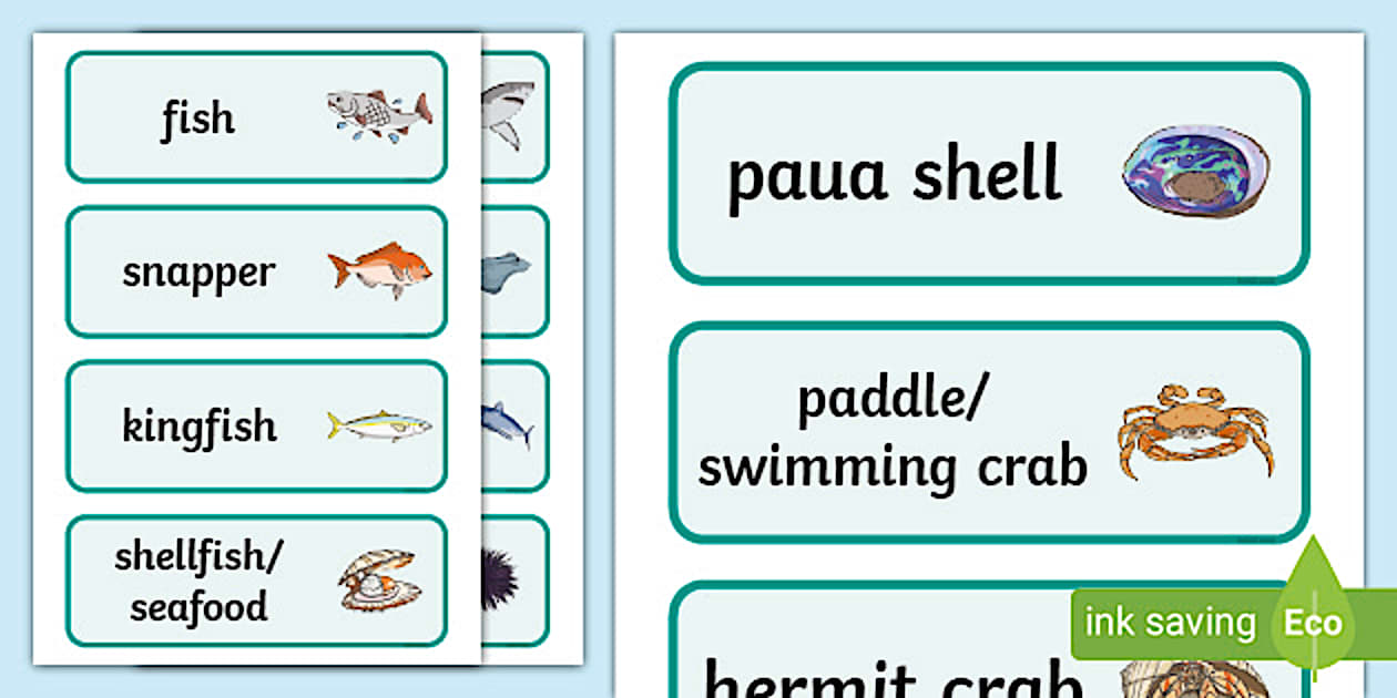 Editable New Zealand Under the Sea Word Cards - Twinkl
