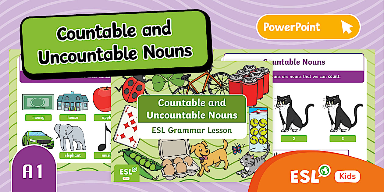 ESL Countable and Uncountable Nouns Lesson {Kids}