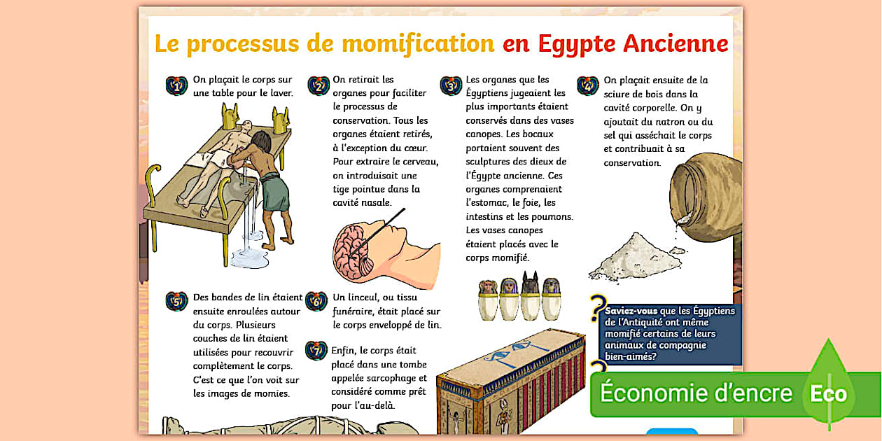 Affiche sur la momification en Égypte antique - Twinkl