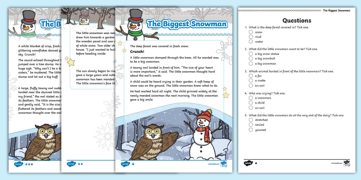 The Biggest Snowman Differentiated Reading Activity | KS1