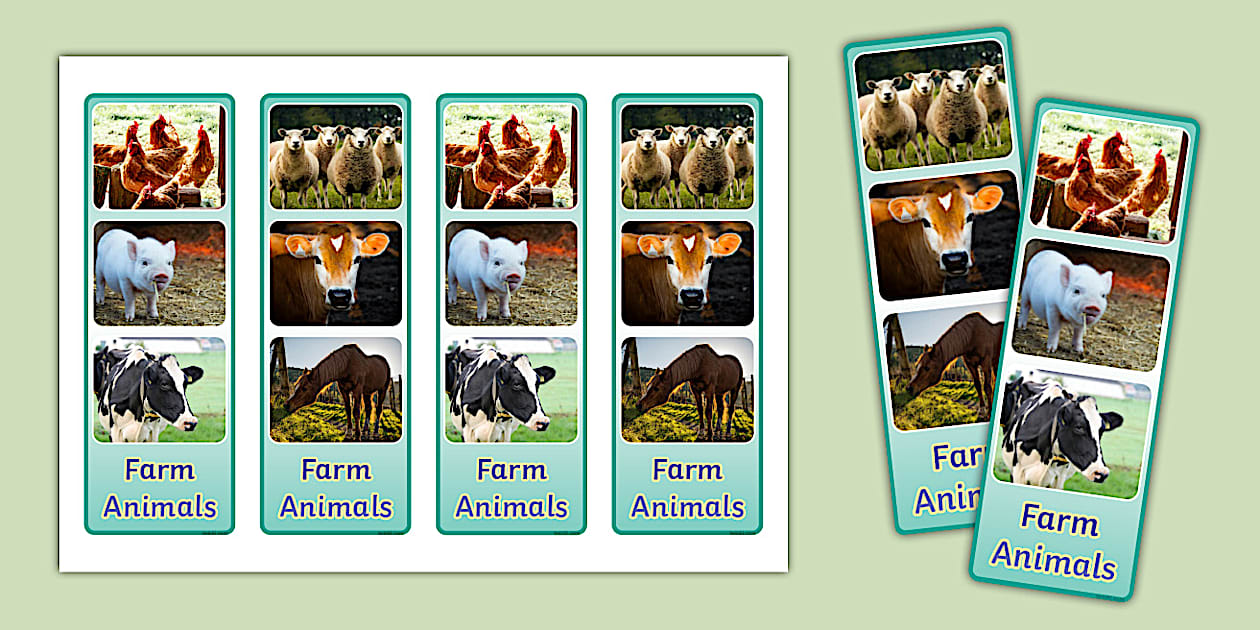 Farm Animals Photo Strip Bookmarks (teacher made) - Twinkl