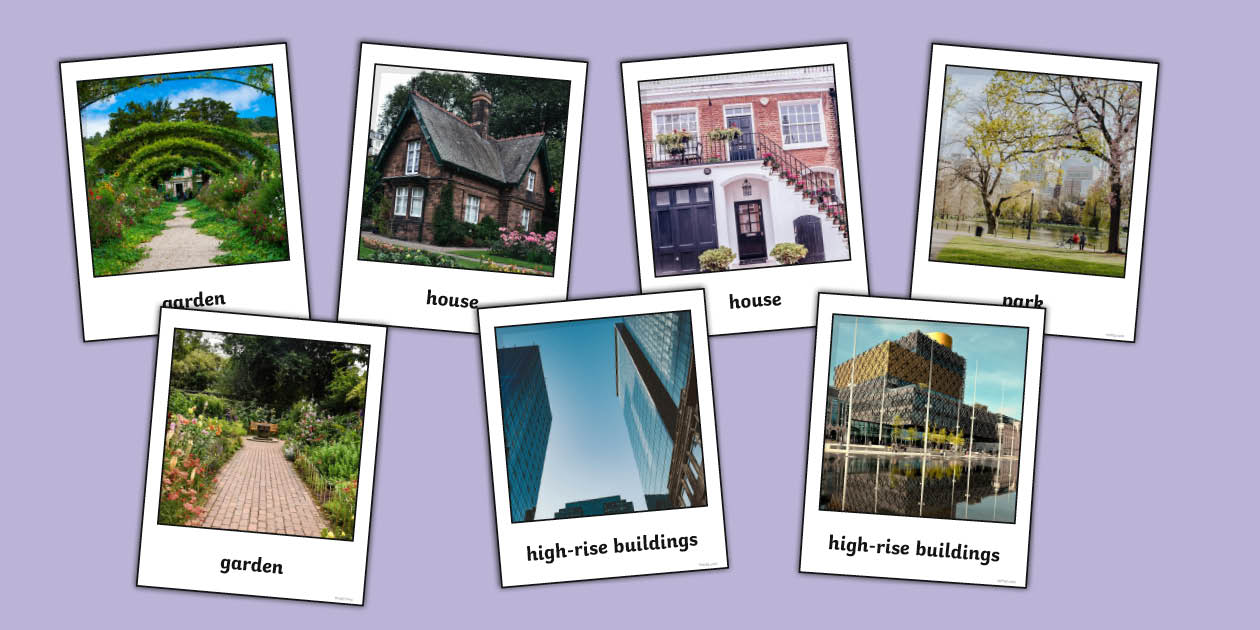 Urban Habitats Instant Photo Style Display Images - Twinkl