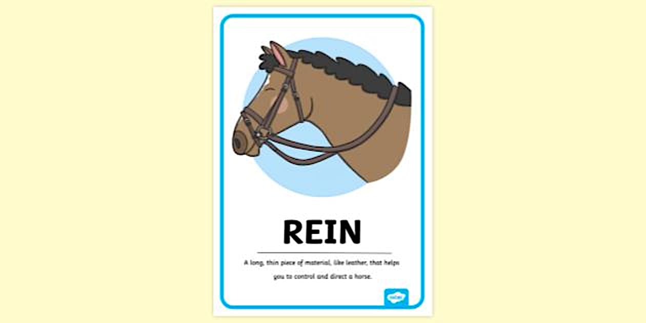 Rein Display Poster | Primary Resource (teacher made)