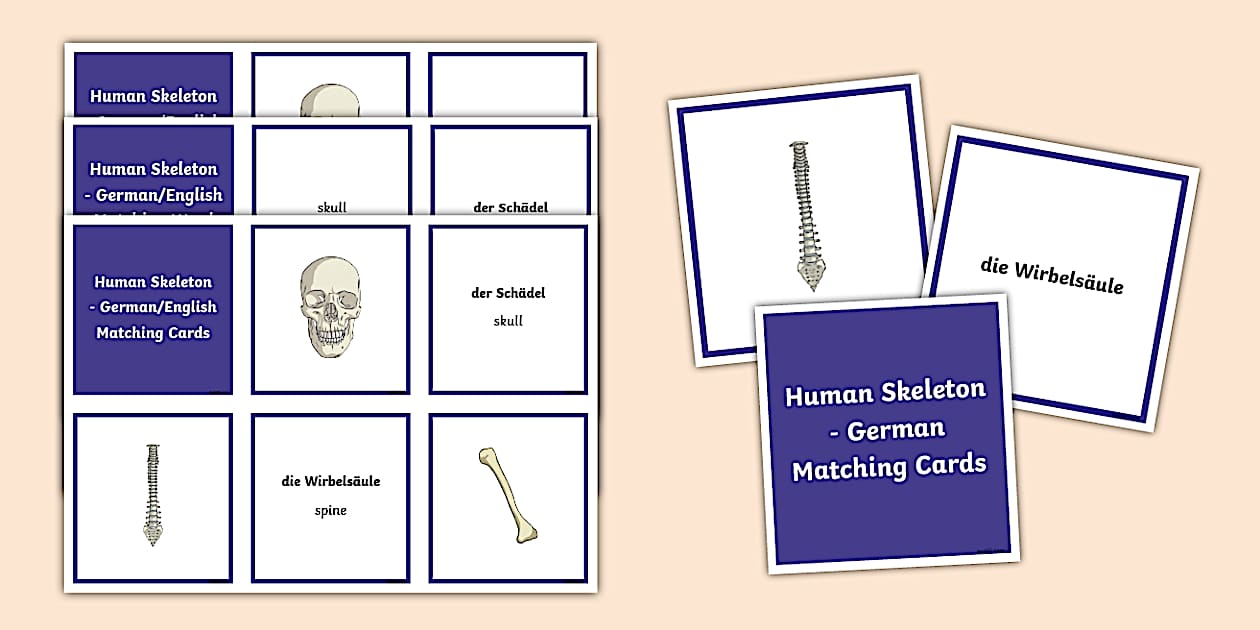 Human Skeleton - German Matching Cards (Teacher-Made)