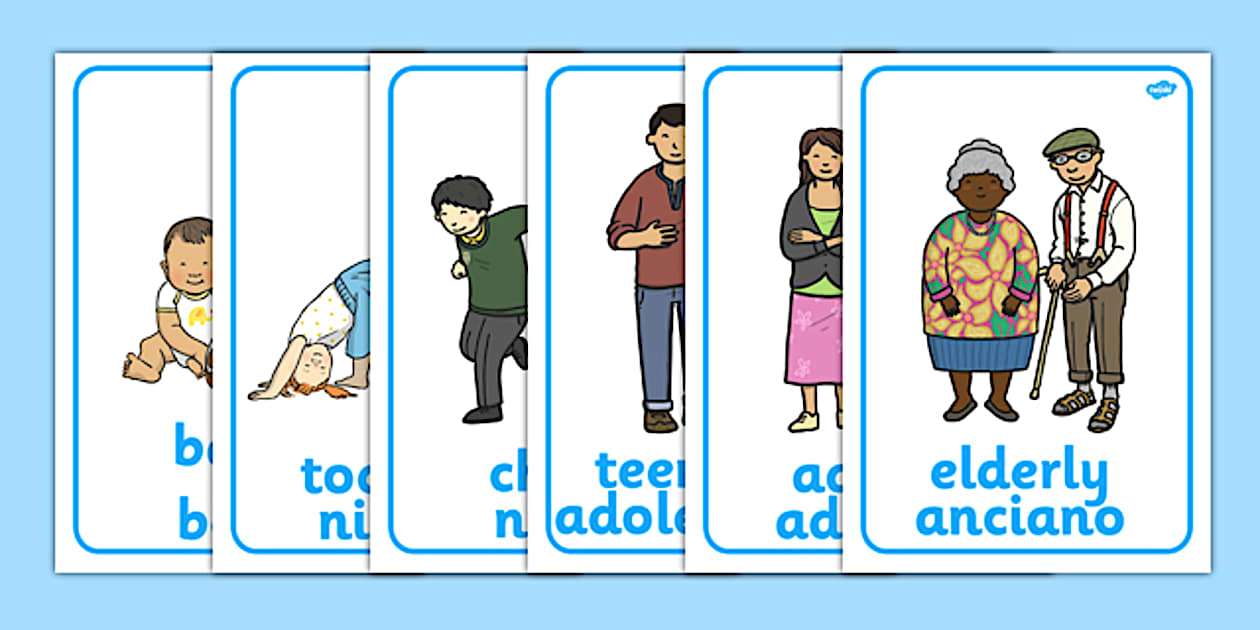 Human Growth Display Posters Spanish Translation - Twinkl