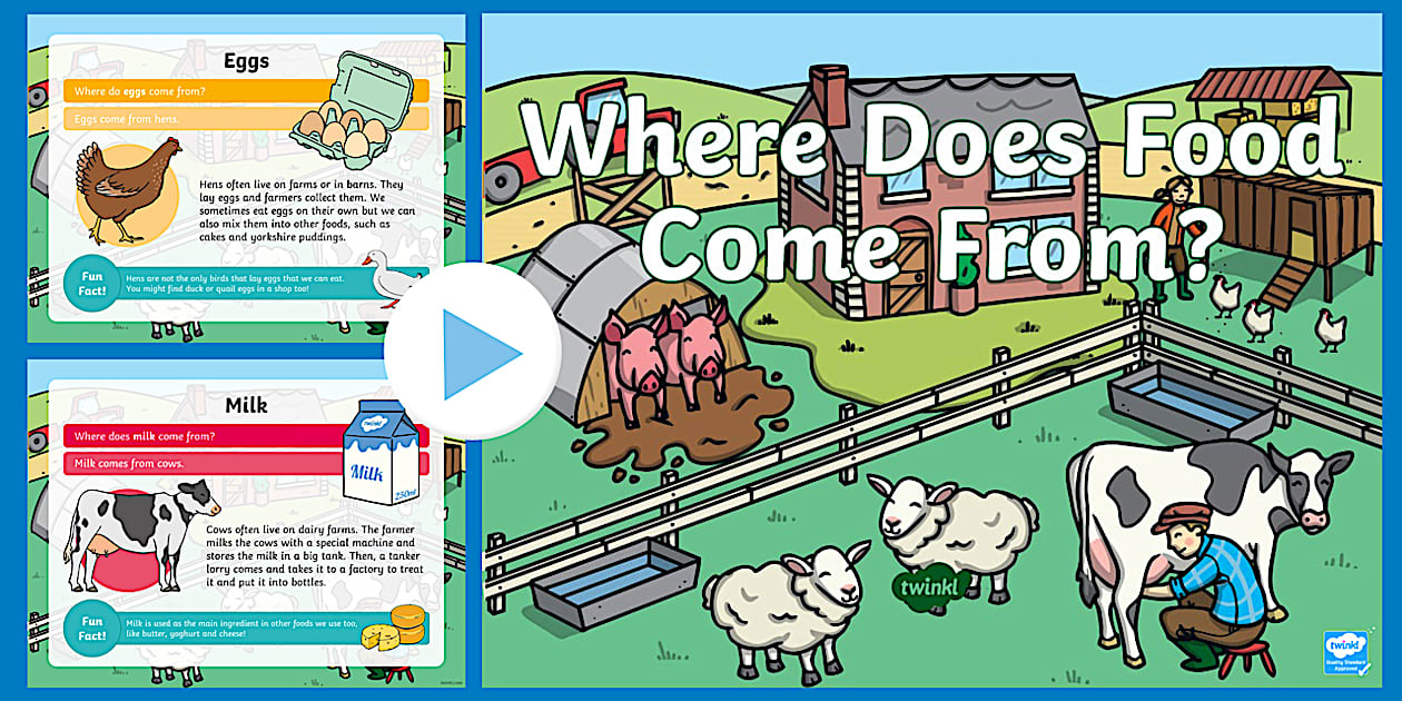 Kindergarten Where Does Food Come From? PowerPoint - Twinkl