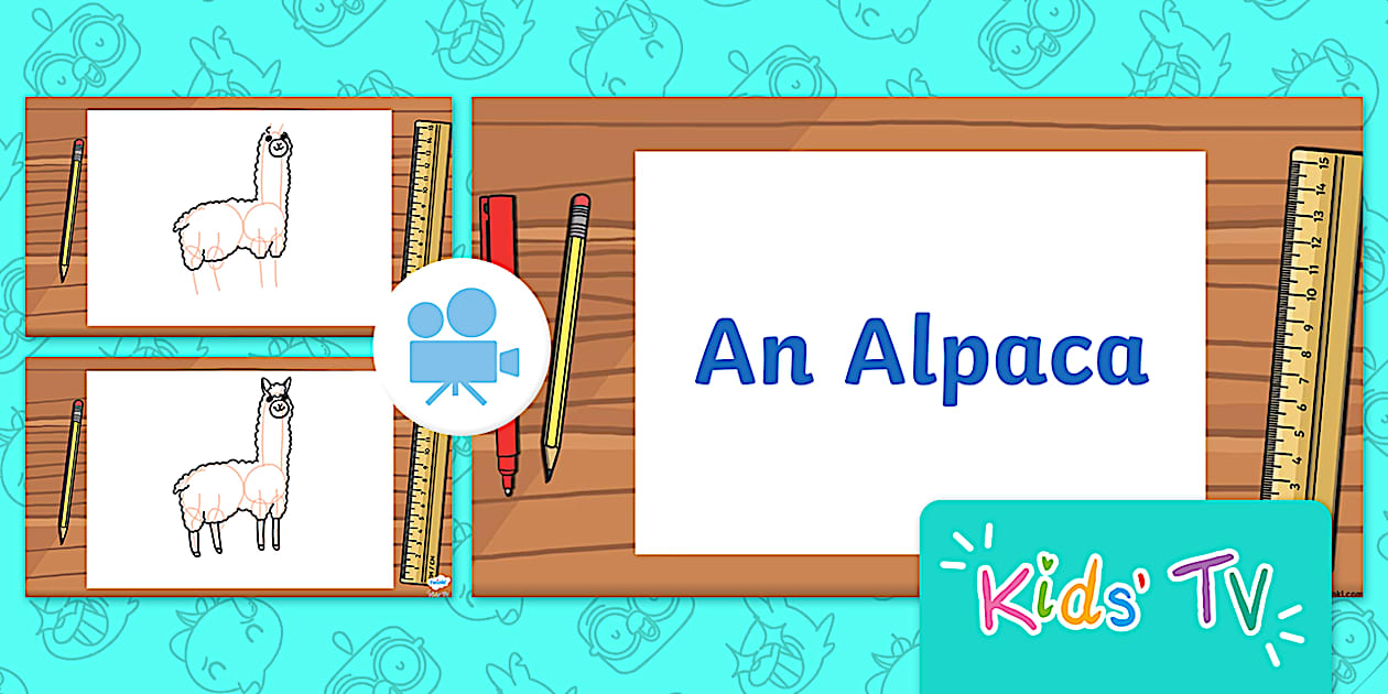 How to Draw an Alpaca | Twinkl Kid's TV (teacher made)
