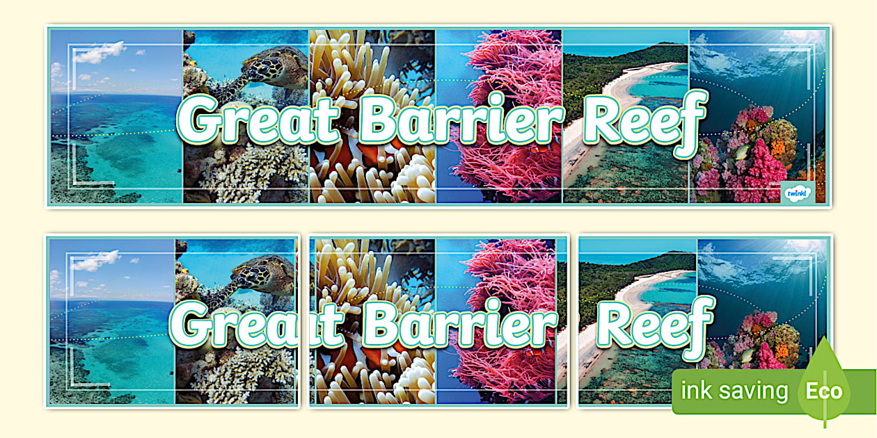 Great Barrier Reef Photo Banner (teacher made) - Twinkl