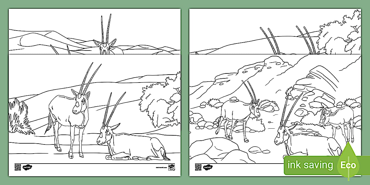 The Arabian Oryx of Qatar Colouring Pages (teacher made)