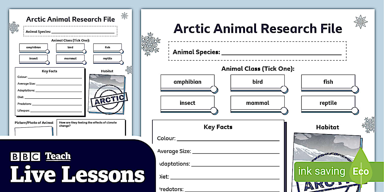 FREE! - Arctic Animal Research File Template | KS2 | Twinkl