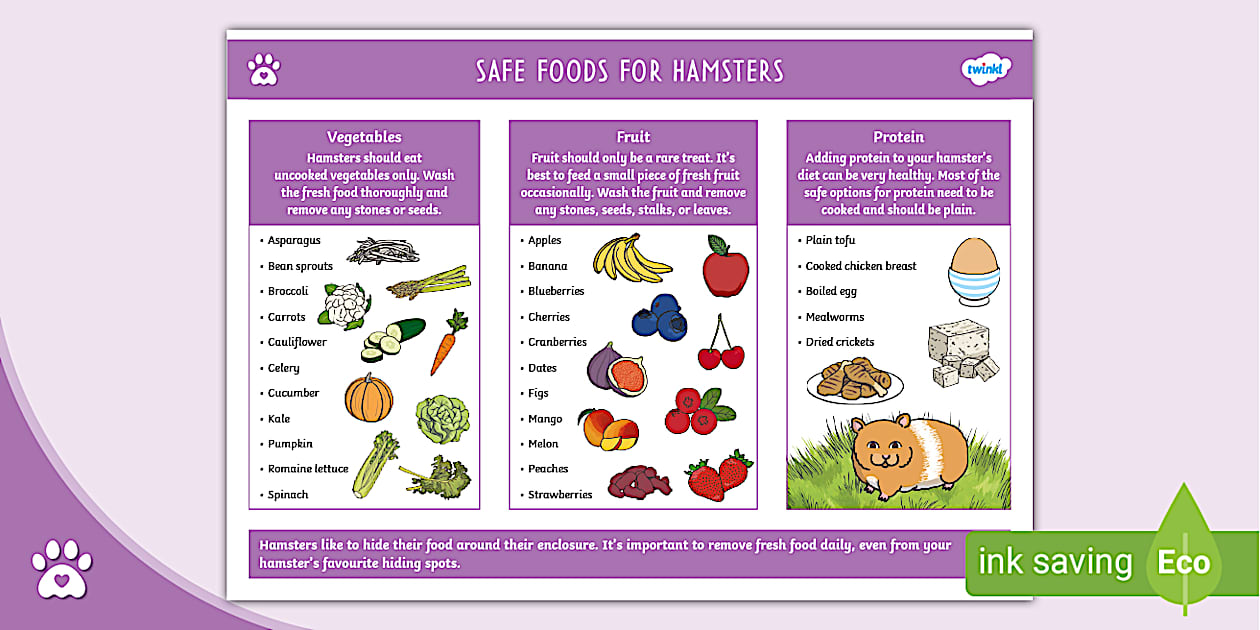 Safe Foods for Hamsters - List - Hamster Diet - Twinkl Pets