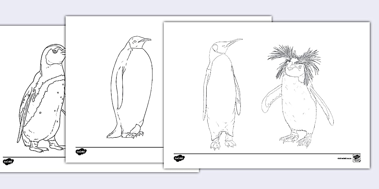Penguin Colouring Sheet (teacher made) - Twinkl