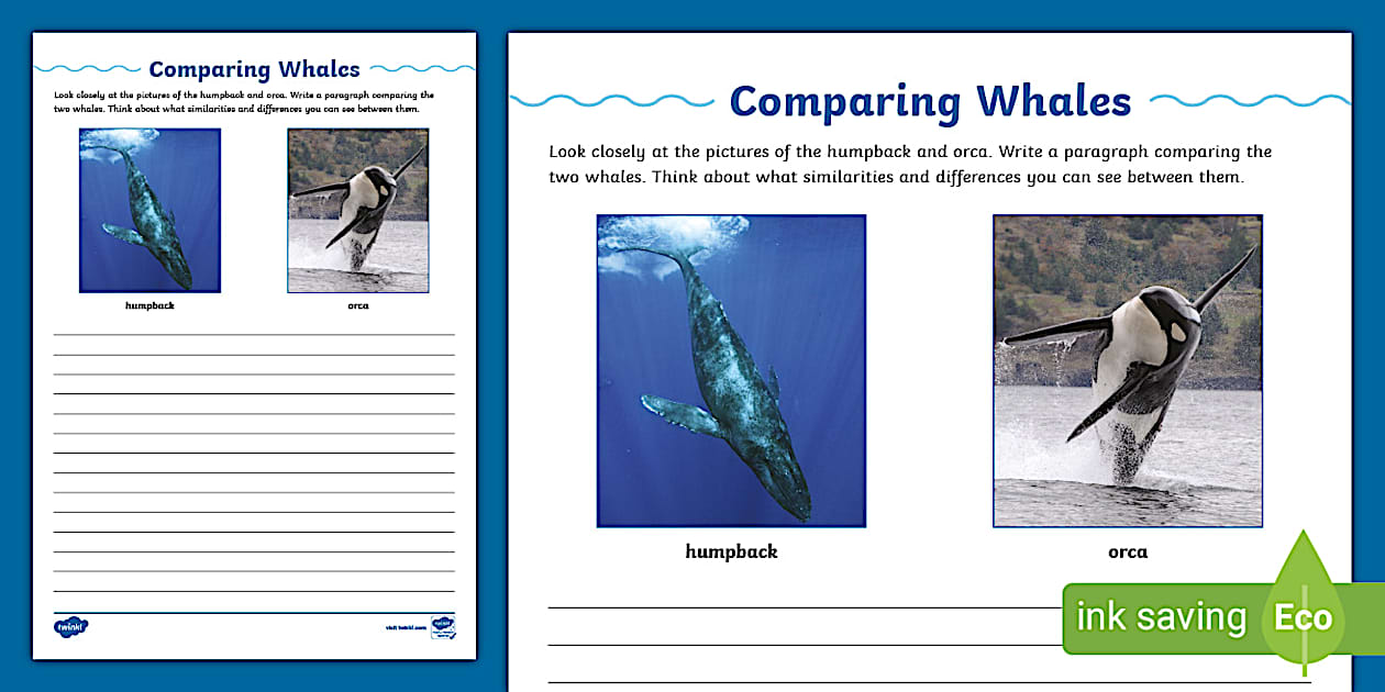 Comparing a Humpback Whale and an Orca Whale (teacher made)