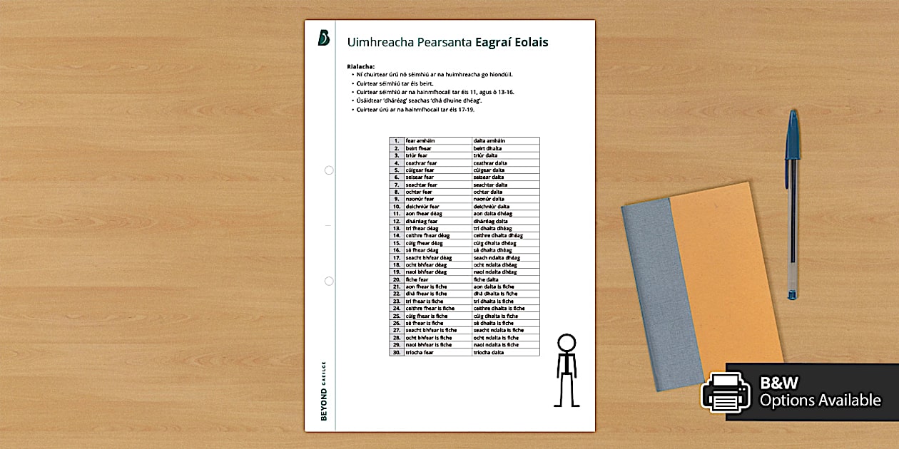 Uimhreacha Pearsanta Eagraí Eolais (Teacher-Made) - Twinkl