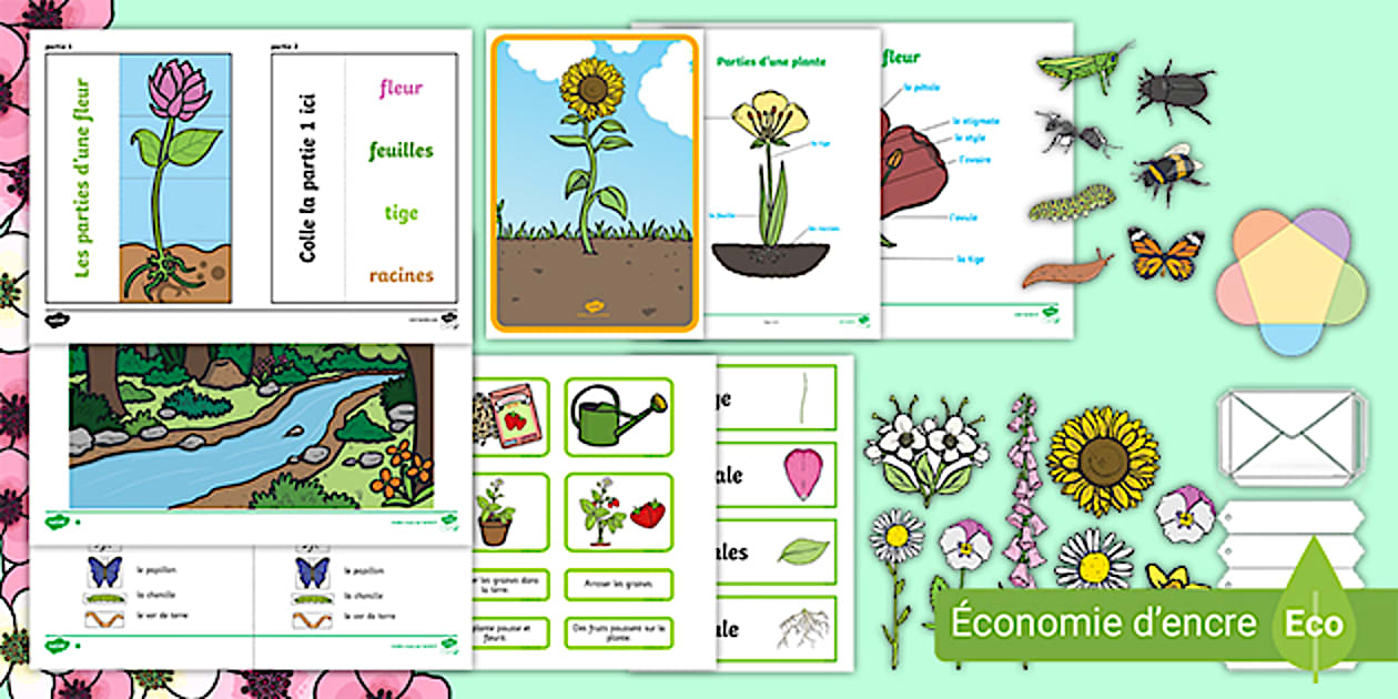 Lapbook sur le printemps - Twinkl