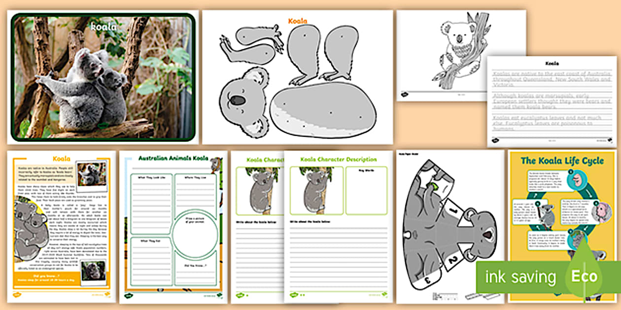 QLD Australian Animals Koala Resource Pack - Twinkl