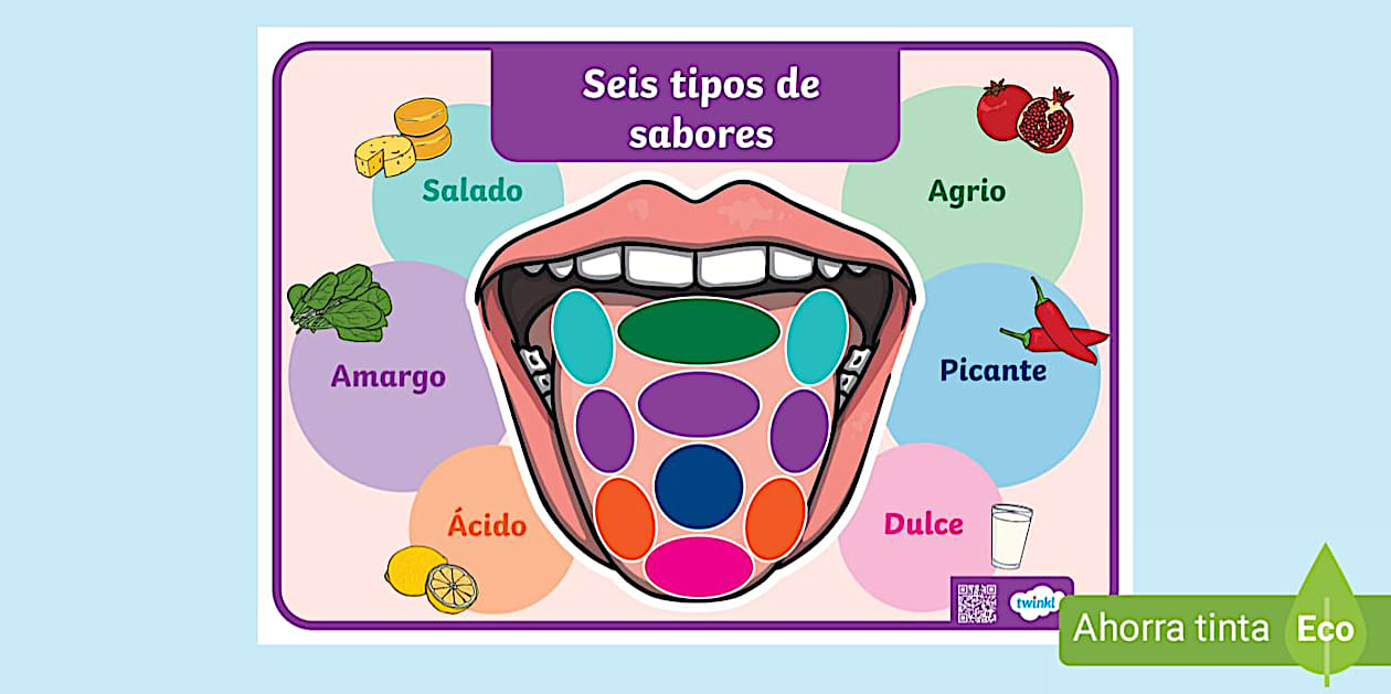 Afiche: Seis tipos de sabores en la lengua | Twinkl - Twinkl