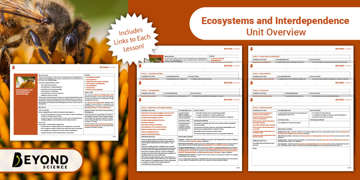 Ecosystems and Interdependence Unit Overview | KS3 Science