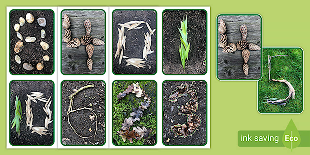 👉 Nature-Themed 0-10 Number Cards (teacher made) - Twinkl