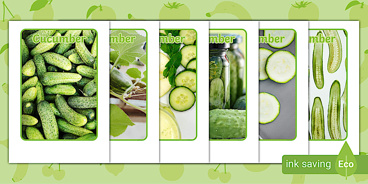 Cucumber Photo Pack (teacher made) - Twinkl